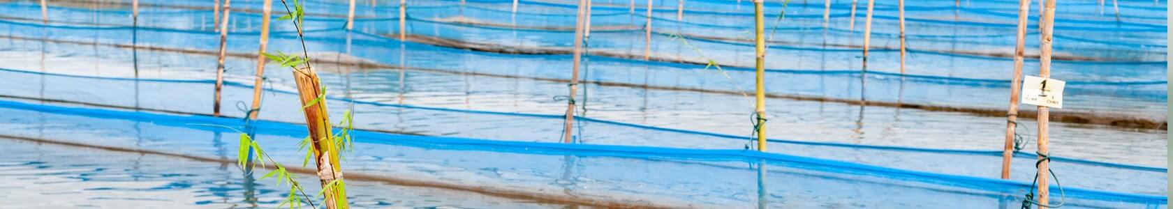 What are effective ways to increase DO levels in pond water?