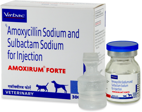 Where Do You Inject Penicillin In A Dog