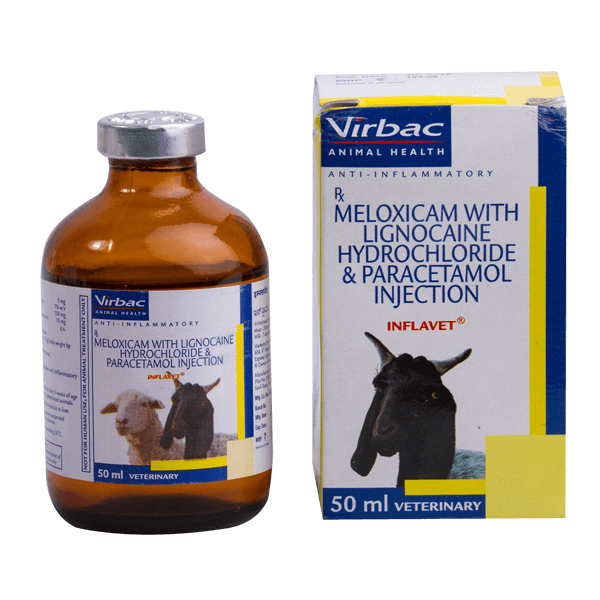 Sheep Injection | INFLAVET INJECTION