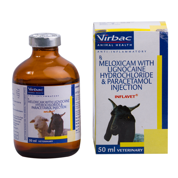 Sheep Injection | INFLAVET INJECTION